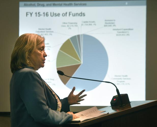 County Alcohol, Drug and Mental Health Services seeks budget expansion ...