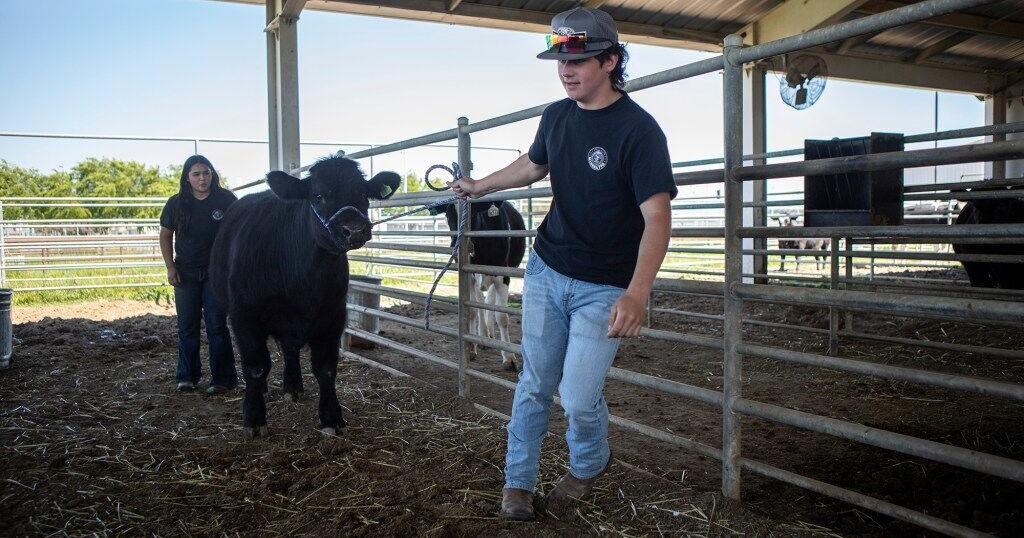 National farm bureau convention celebrates agriculture, rural ...