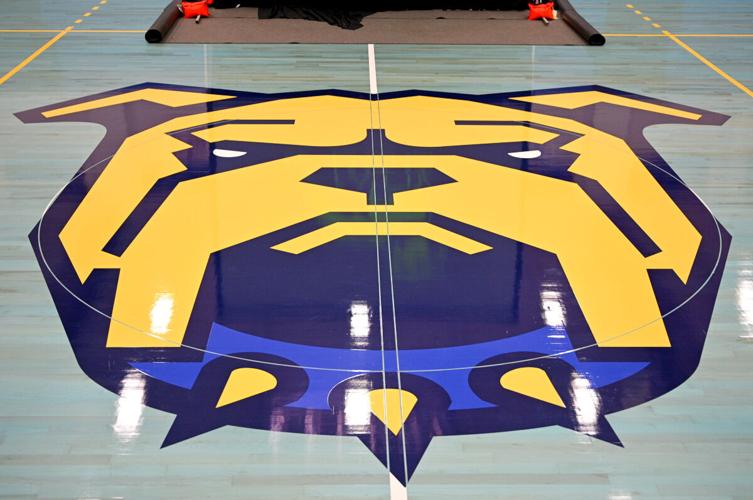 New logo revealed: Hancock's mascot gets a makeover | Education ...