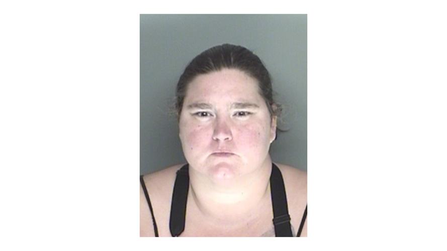 Nine face 27 counts of fraud, criminal conspiracy in $1.7 million ...