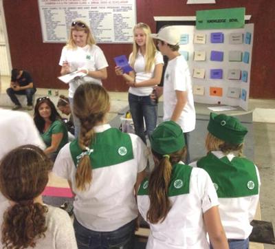 Local 4-H members strut their stuff | Local news | syvnews.com