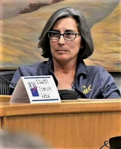 Funkhouser, Aguilera-Hernandez win Santa Maria council seats ...