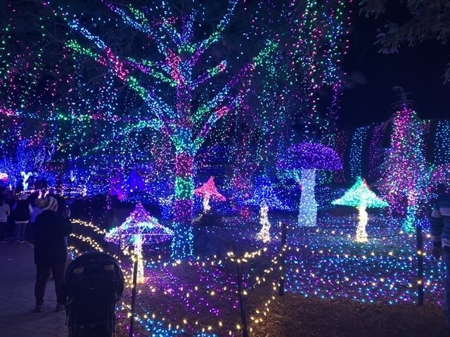 Enchanted Holiday Lights Festival begins Friday at SYV Botanic Gardens ...
