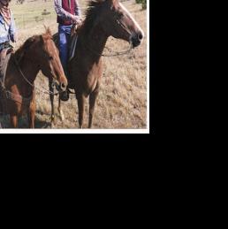 Jim Stuckenberg, among last true 'cowboy artists,' named 2018 Vaquero ...