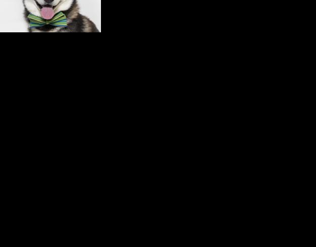 Sheldon Canley, Lompoc RB | | syvnews.com