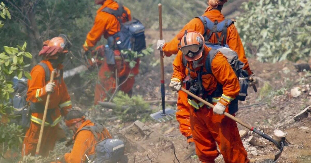 Fuel breaks can spare California from future devastation | Guest ...
