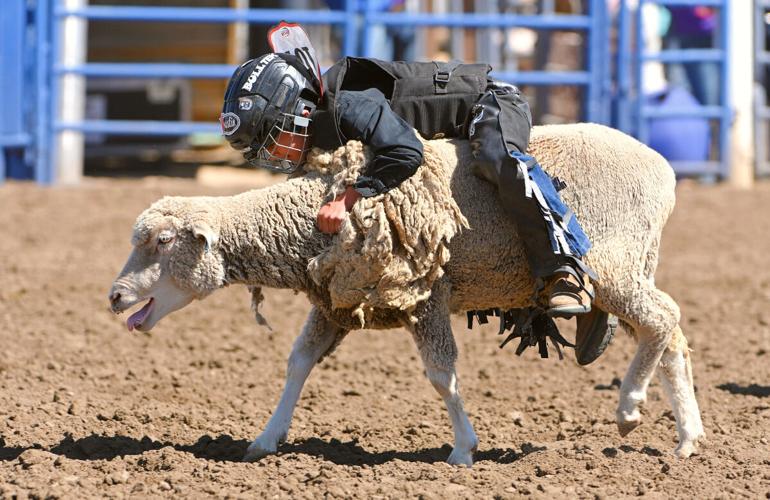 79th annual Santa Maria Elks Rodeo sees record crowds | Local news ...