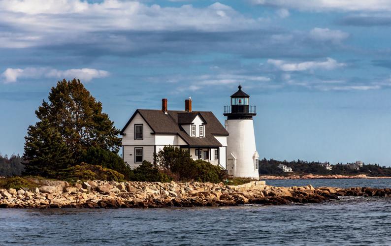 Santa Maria Camera Club announces competition winners | Valley Life ...