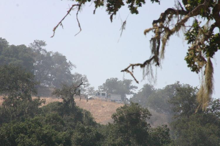 Vegetation fire in Los Olivos held to 10 acres after threatening ...