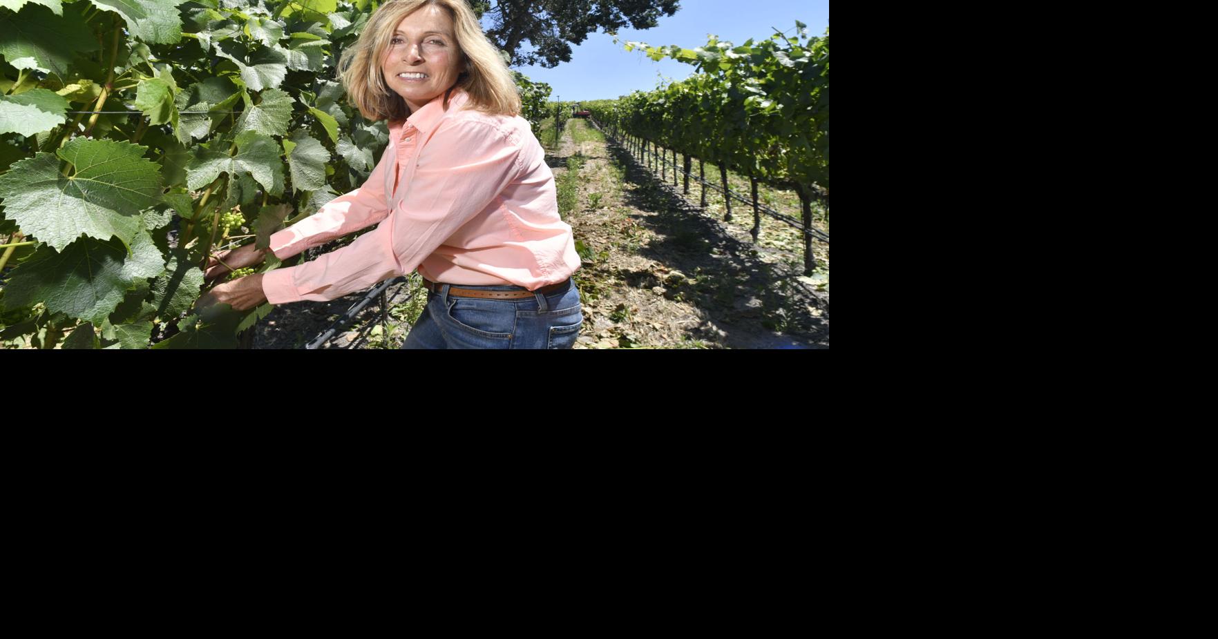 The forbidden fruit of Cebada Wine | Wine | syvnews.com