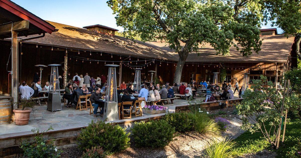 Zaca Mesa Winery in Los Olivos launches monthly Classic Car Sundays ...