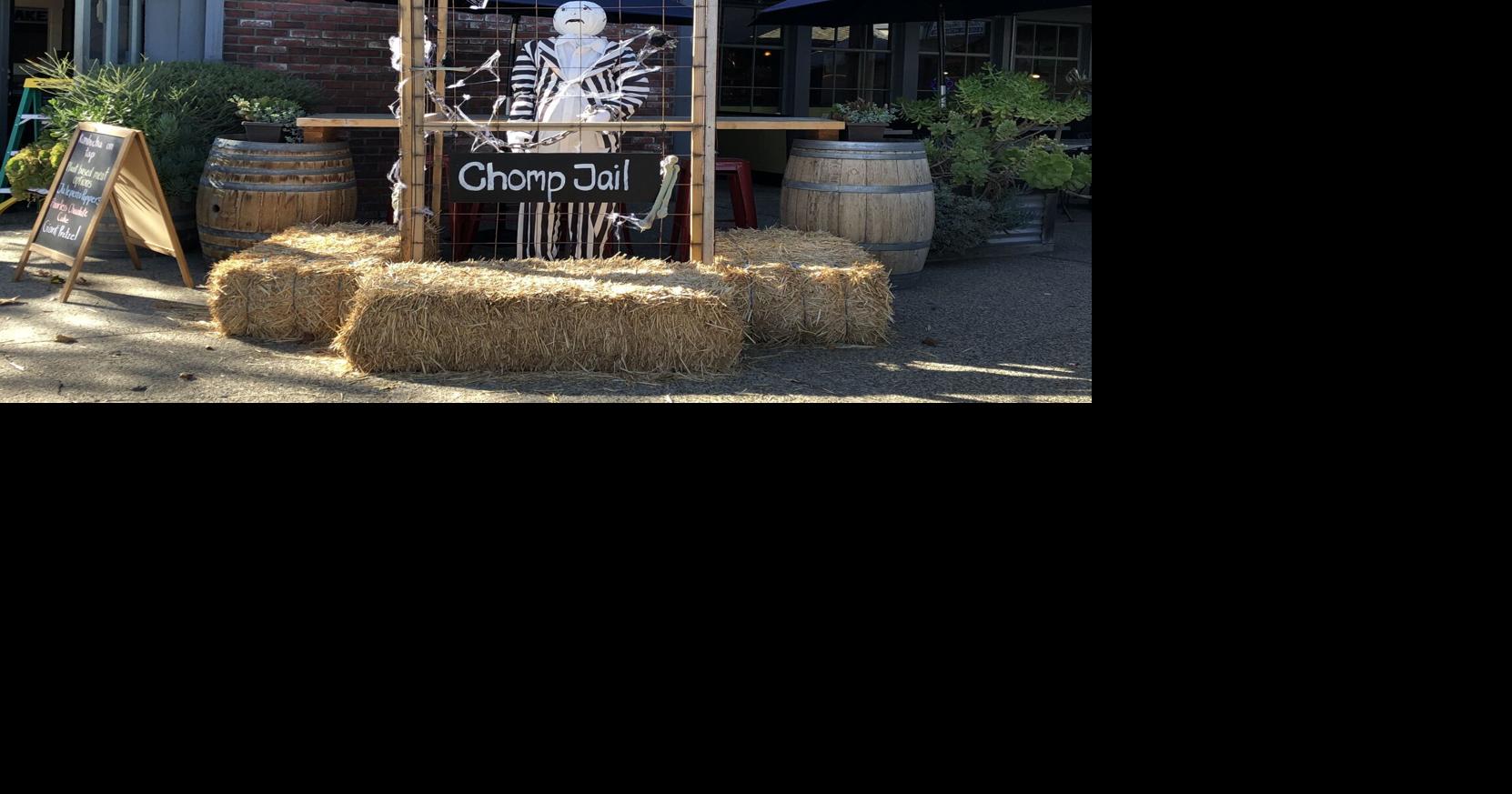 Winners announced for 13th annual Solvang Scarecrow Fest | Valley Life ...