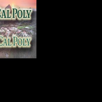 Poll: New Cal Poly logo design leads to some head scratching and eye ...