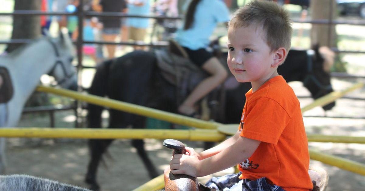 Holiday visitors enjoy activities at One Fire Field | Local News ...