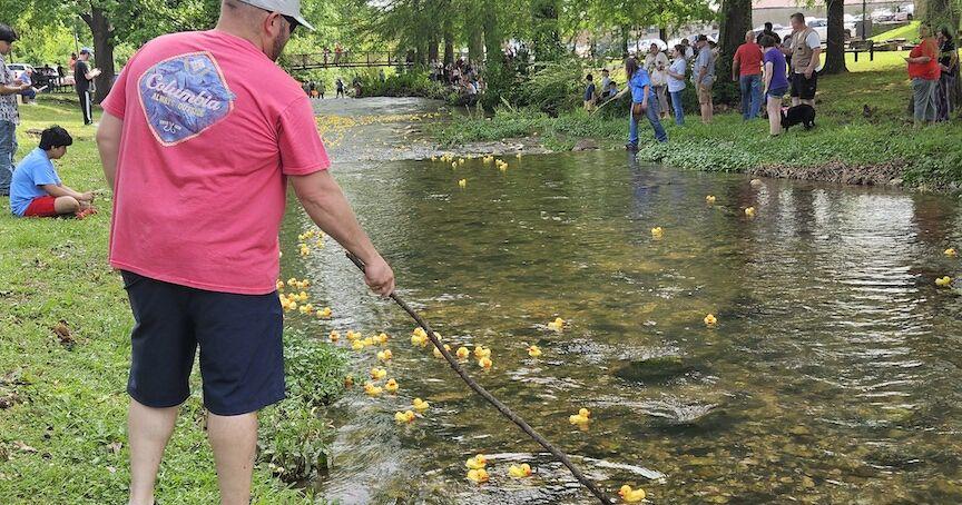 Zooming ducks race in fast-running water | News | tahlequahdailypress.com