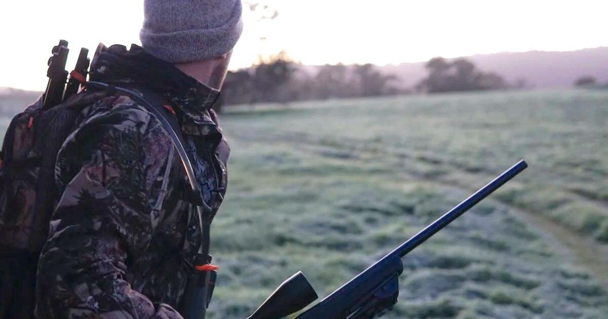 5Ws+1H: How It's Done: Hunting season brings safety to forefront; class ...