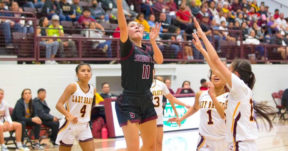 Lady Lions too much for Sequoyah girls | Sports | tahlequahdailypress.com