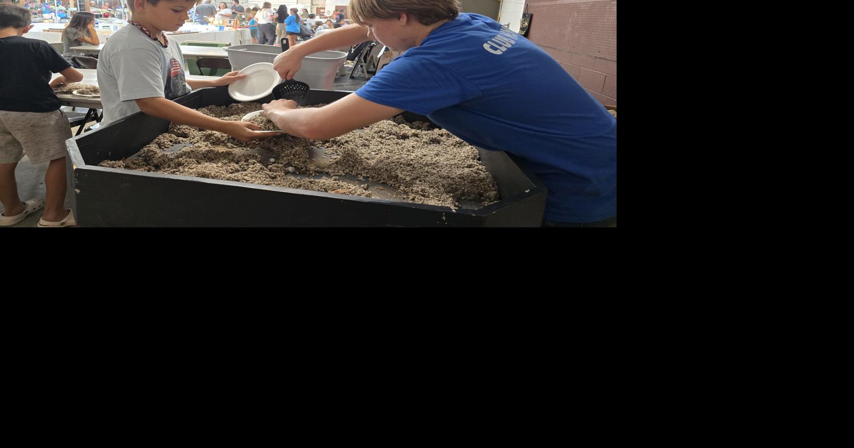 ROCKIN' GOOD TIME: Crystals, fossils, creations on display at Rock and ...