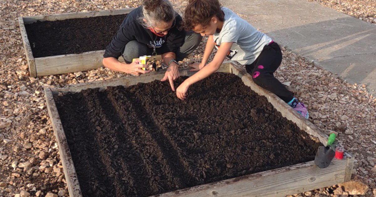 SCHOOL SPOTLIGHT: Lowrey students to get growing with greenhouse | News ...
