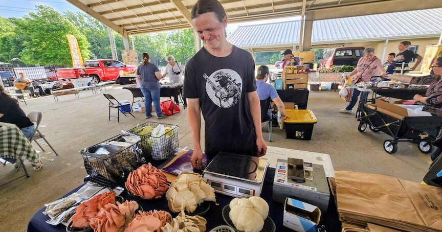 Local produce star of Plates with a Purpose event | News ...