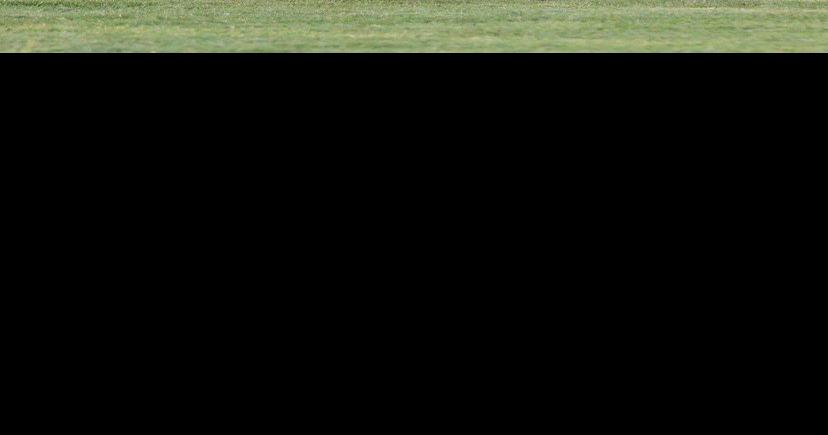 Harp finishes second at state, helps SHS to third-place finish | Sports ...