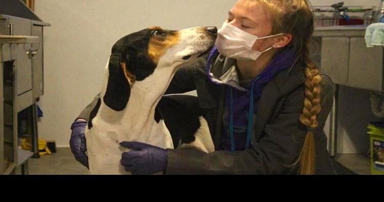 Local humane society continues helping area pets after two decades ...