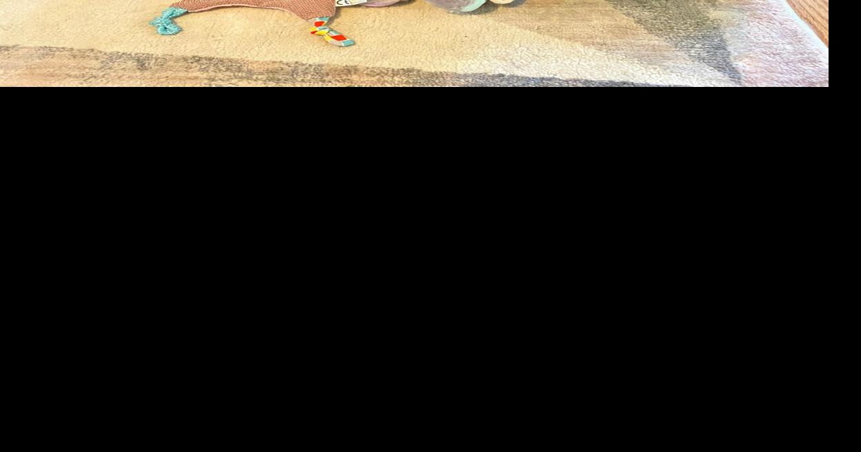 Some dogs can expand their vocabulary by eavesdropping on their owners ...