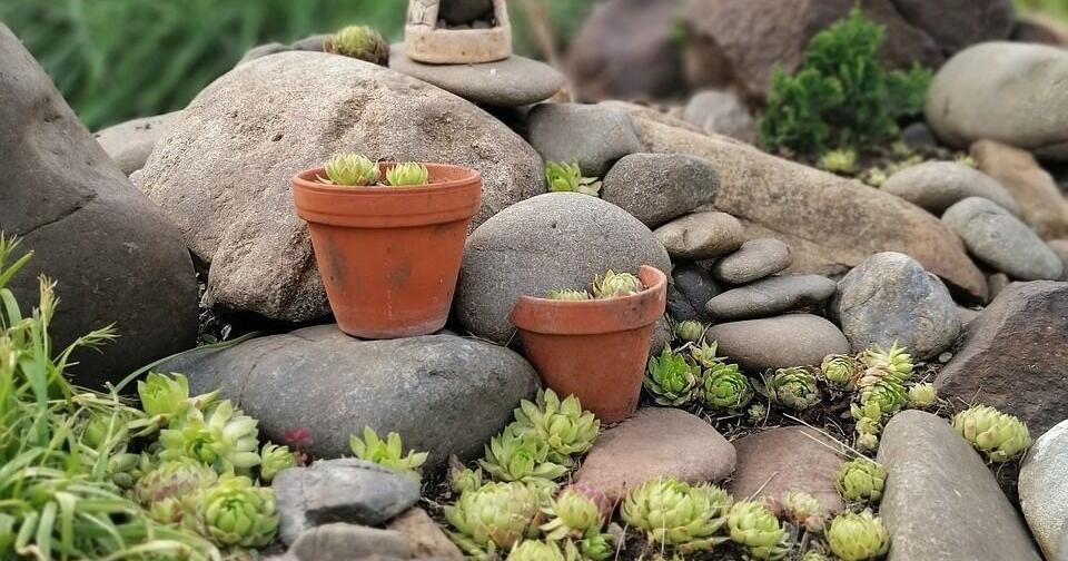 5Ws+1H: What It's About: Indoor rock gardens can add aesthetics to ...