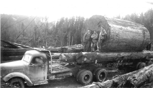 ‘When Logging Was Logging': Appelo Archives newest book captures ...