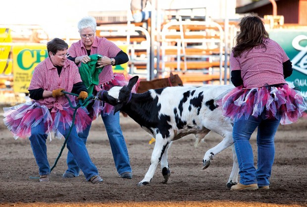 Cowlitz County Fair photo gallery
