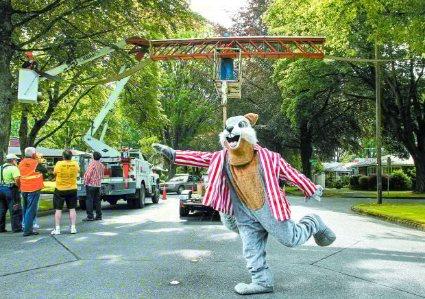 News Photo: Sandbaggers install Longview's fourth squirrel bridge
