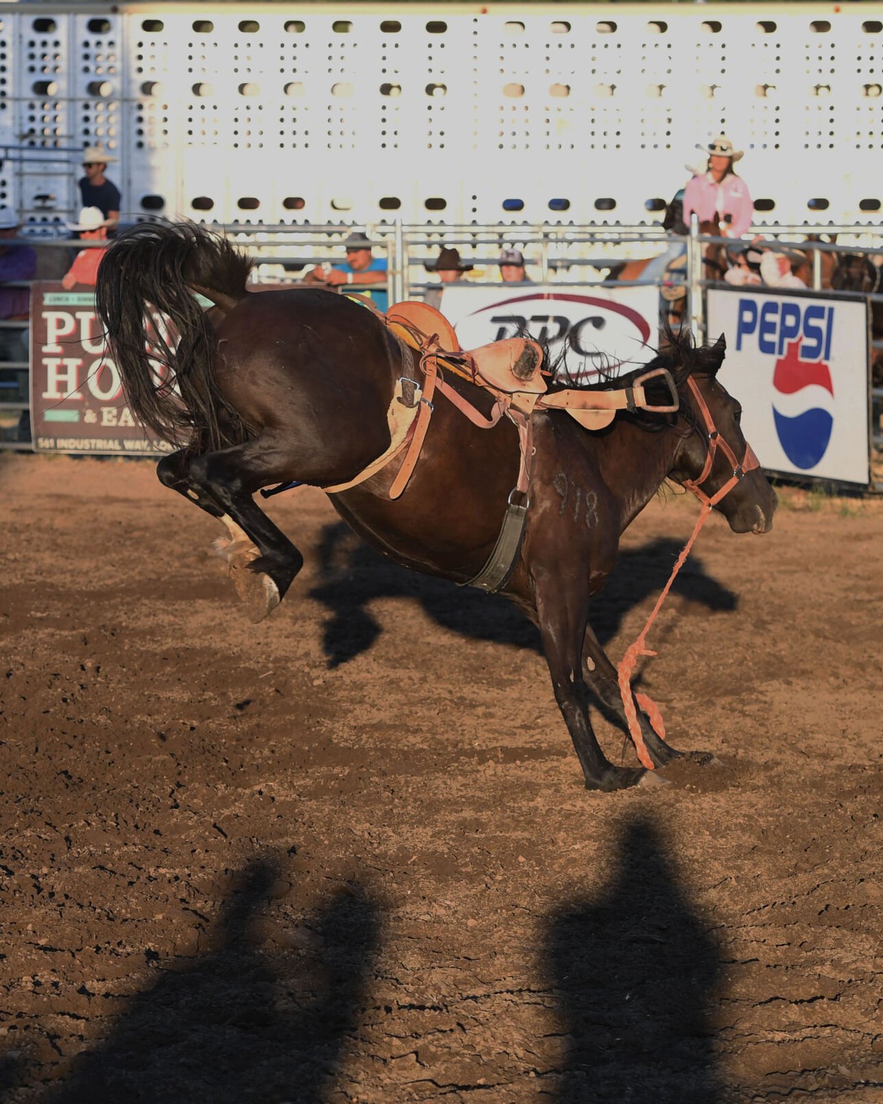 Pro Rodeo: Final results from the Thunder Mountain Pro Rodeo at the ...