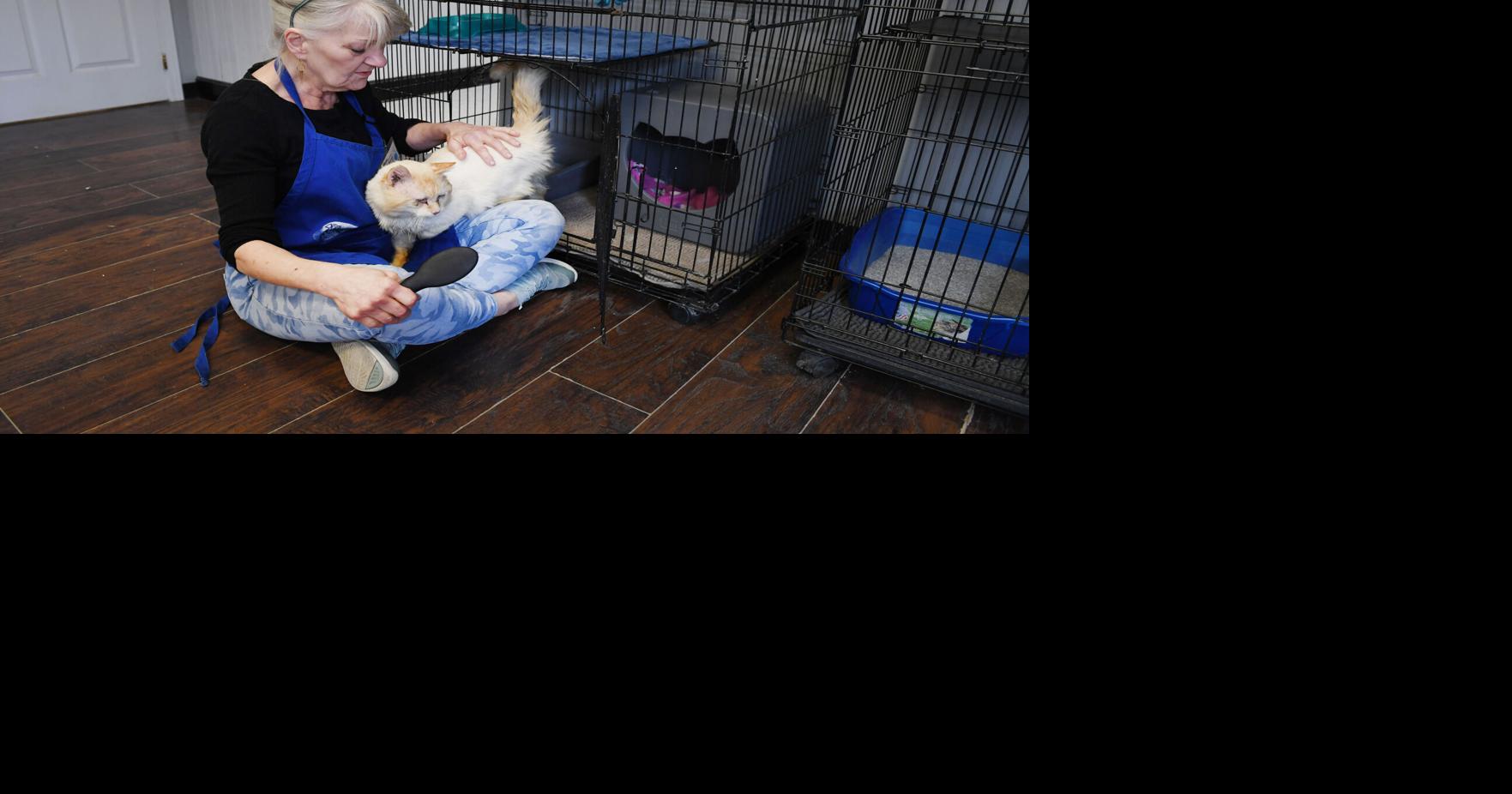 UPDATE: Cowlitz County Humane Society to stop providing animal control ...