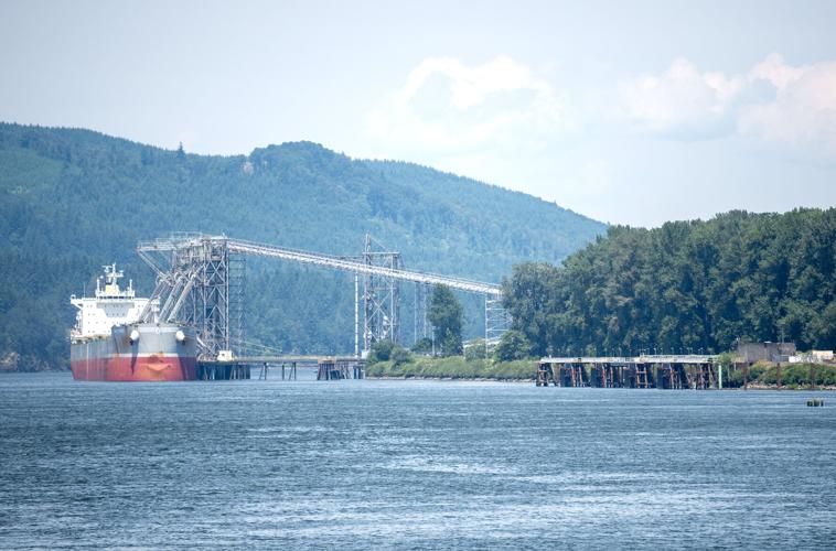 SW WA ports, shipping leaders dodge politics for dollars