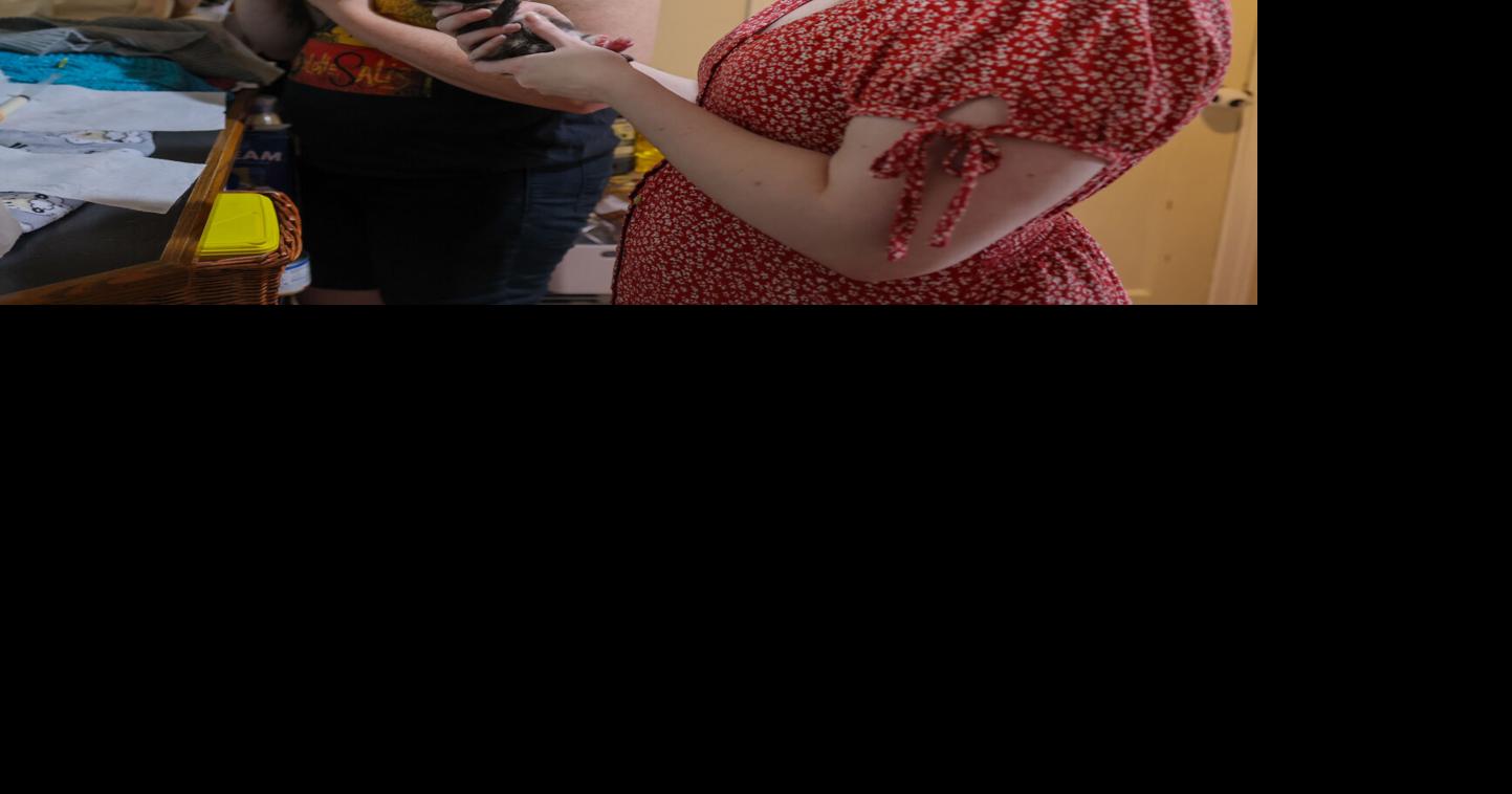 With Cowlitz County animal control under law enforcement, shelter ...