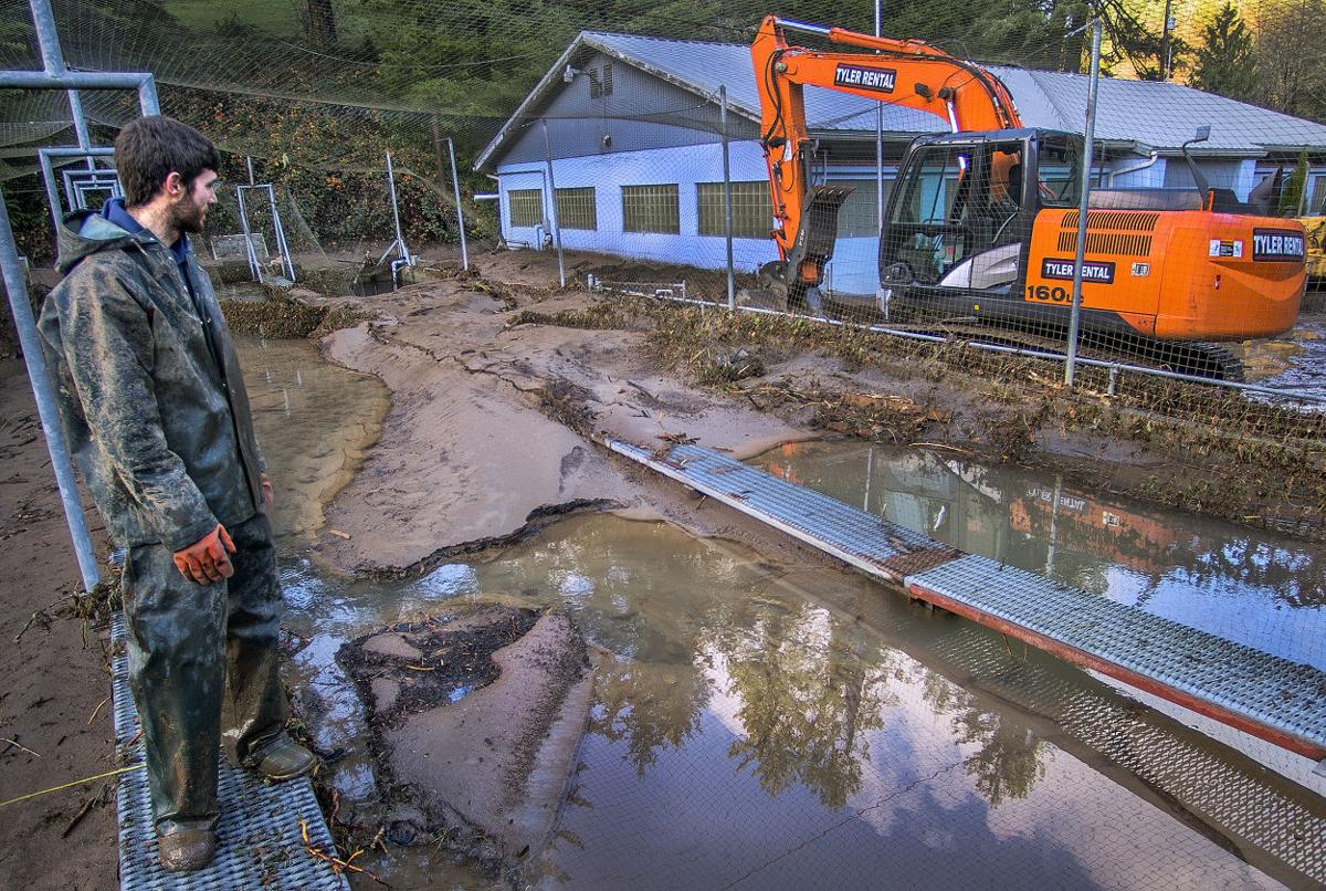 Lower Kalama River fish hatchery nearly decimated by flooding