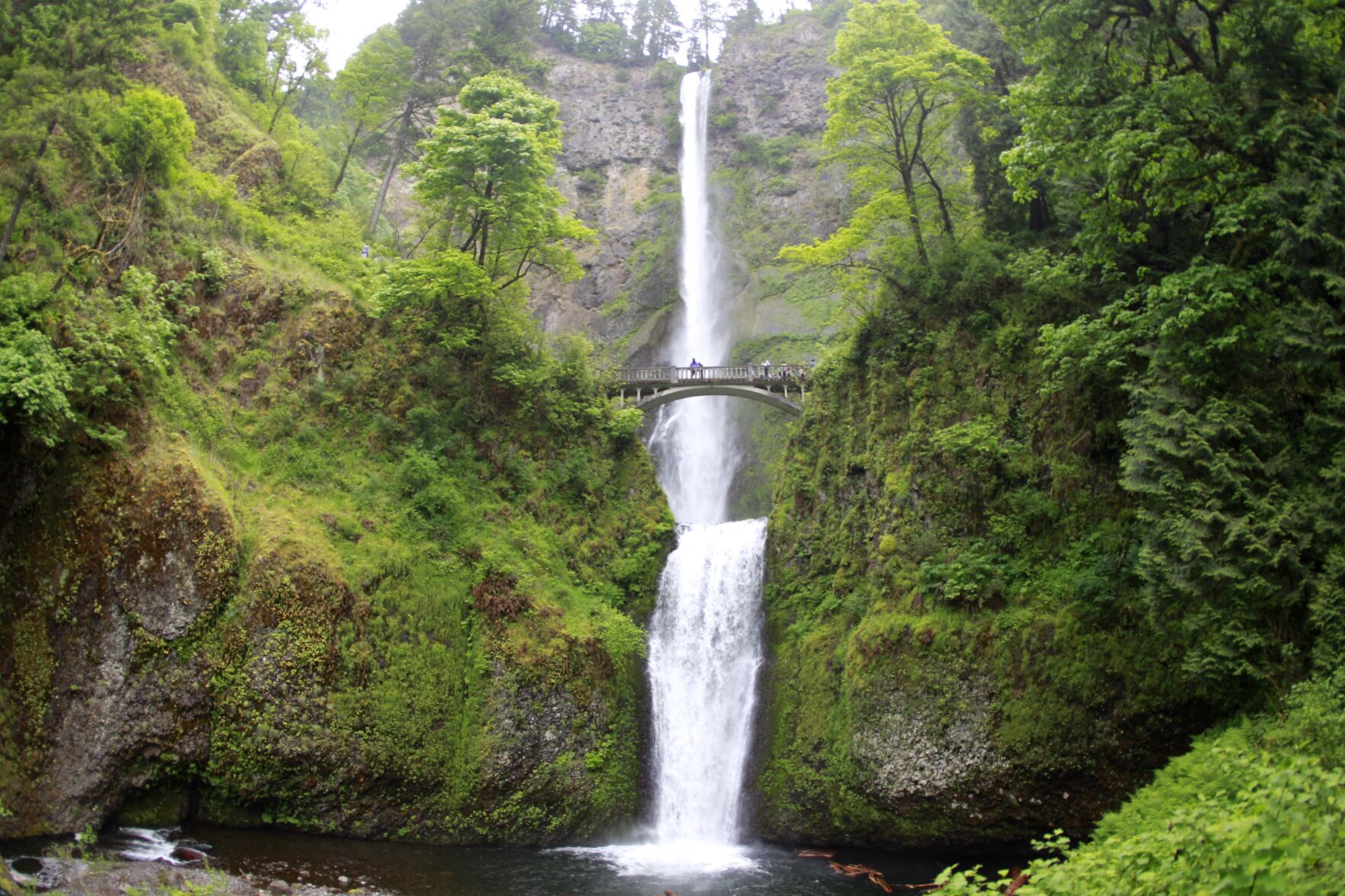 Trump budget maintains many Columbia River salmon, environment programs ...