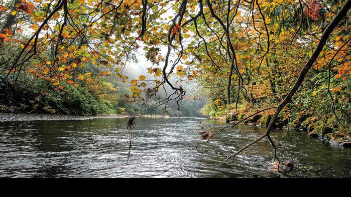 Photos: Elochoman River | Lifestyles | tdn.com