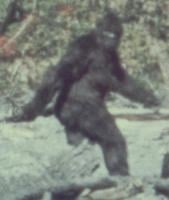 bigfoot really exist