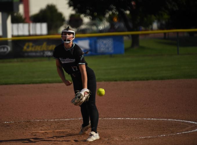 Beavers nearly take down Thunderbirds at state