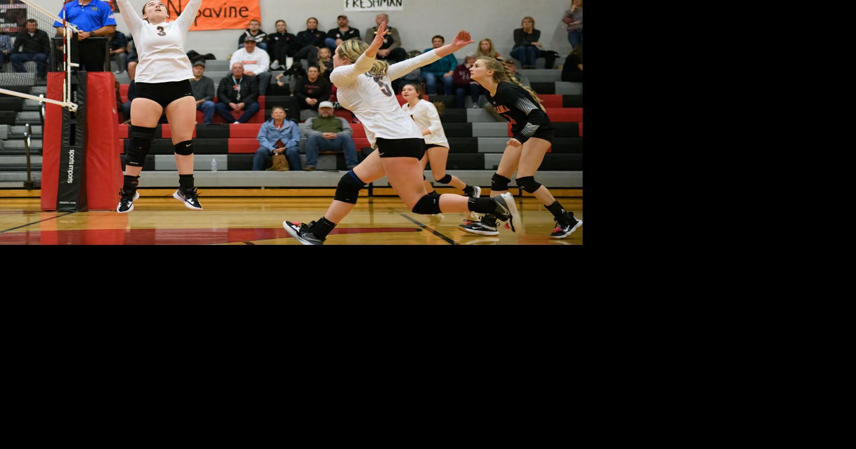 WSVCA All-State Volleyball Teams