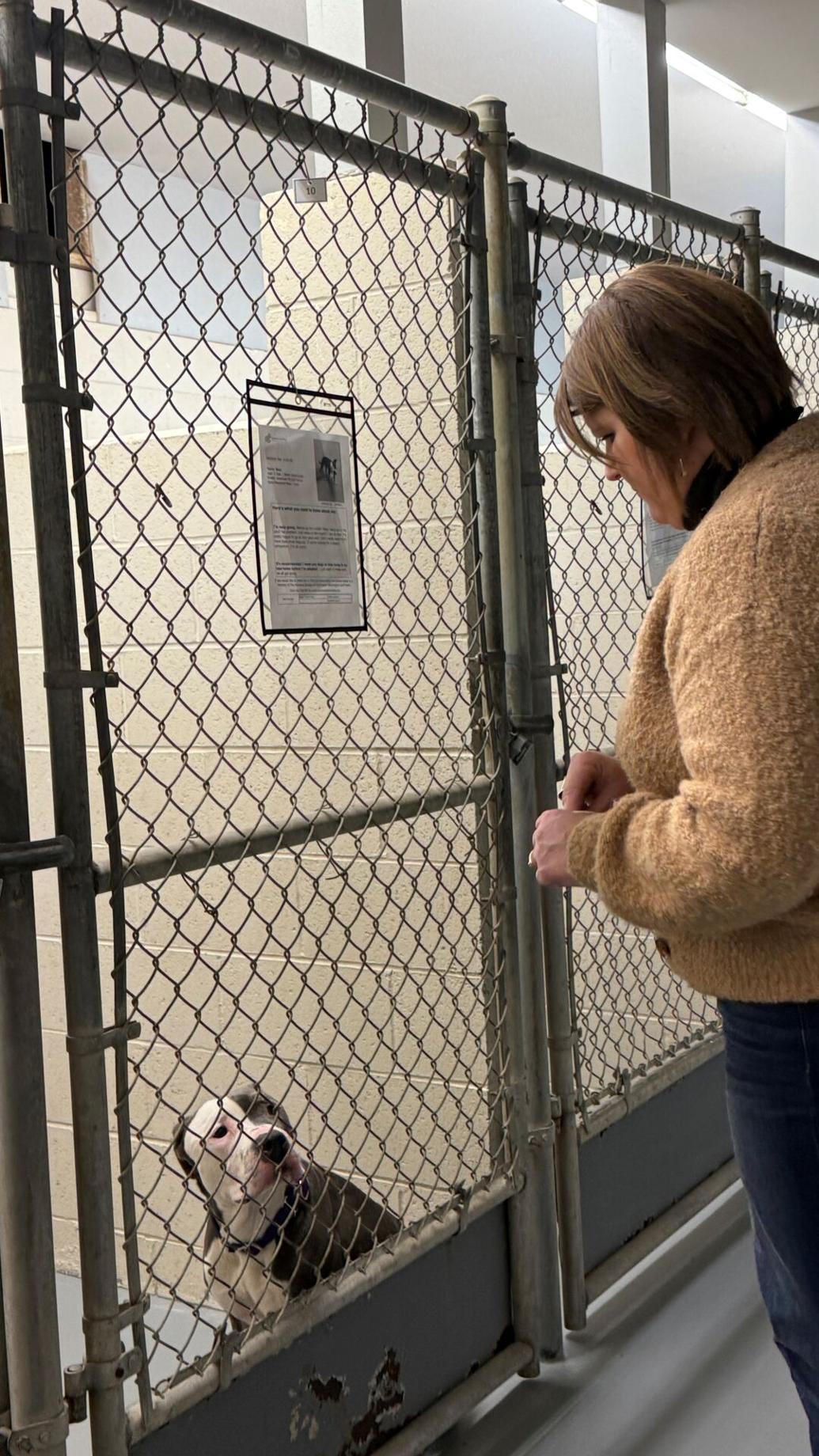 Humane Society for SW WA to hold Longview open house