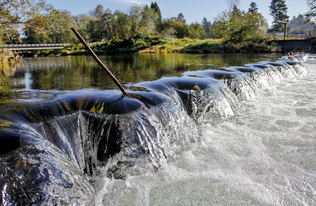 Photos: Elochoman River | Lifestyles | tdn.com