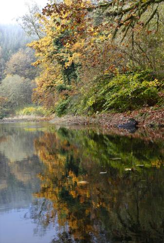 Stories from enchanting Elochoman as colorful as its fall foliage