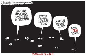 Editorial cartoons from The Washington Post