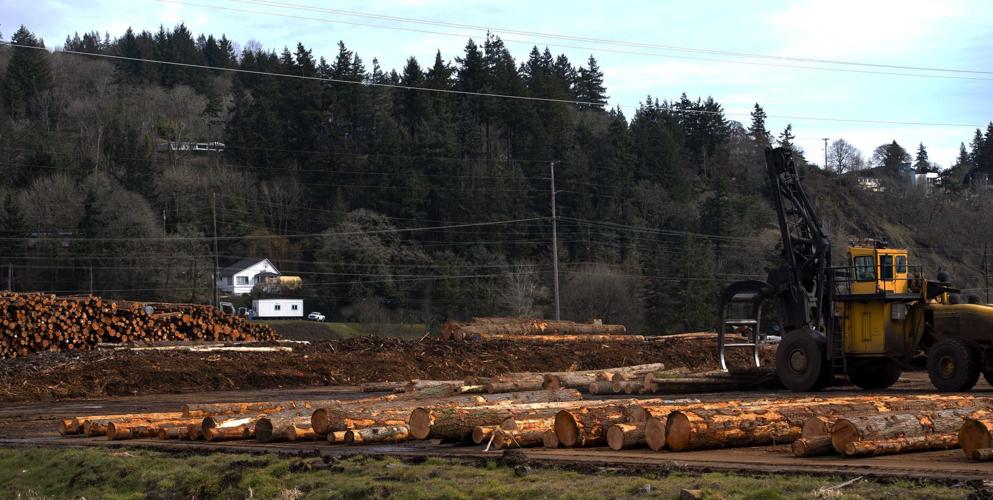 Do falling lumber prices hint at economic trouble ahead?