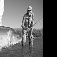 Anglers hooked on scrappy fighter — the overlooked carp