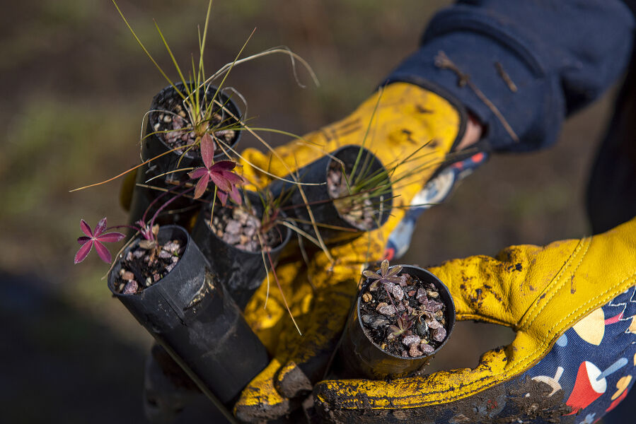 Washington DNR preserves more land in Clark County, protecting rare ...