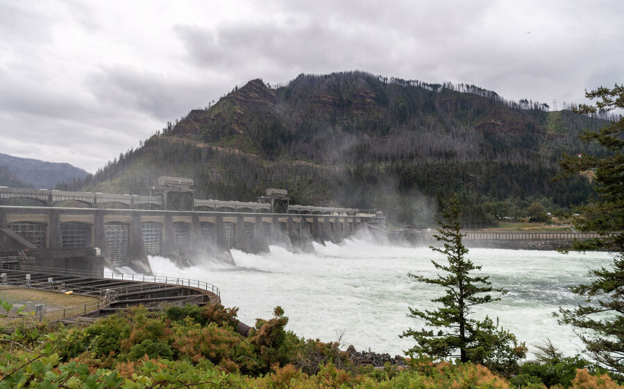 Seasonal water releases for young salmon start at Bonneville Dam amid ...