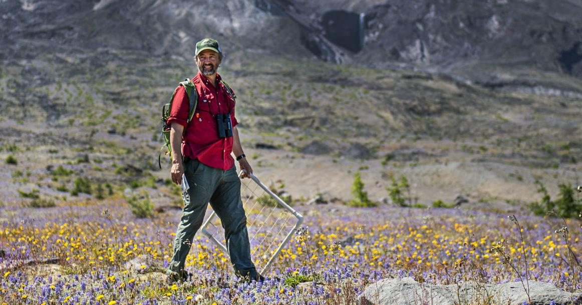 Mount St. Helens ecological research could help conserve, restore nature